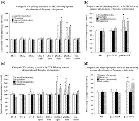 Graphs Of Densitometry Values For A Wnt Pathway Proteins And B