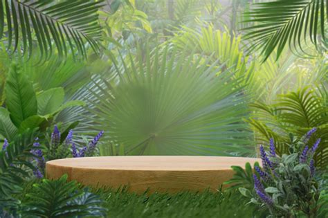 열대 우림 자연 Backgroundnatural 제품 받침대 나무 스탠드 디스플레이 건강한 삶 또는 에코 개념에서 잔디 야외에 최소한의 나무 연단 테이블 탑 0명에 대한