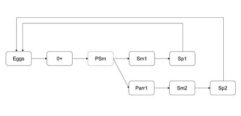 State Space Modeling Of A Salmon Life Cycle Model • Hbm4ecology