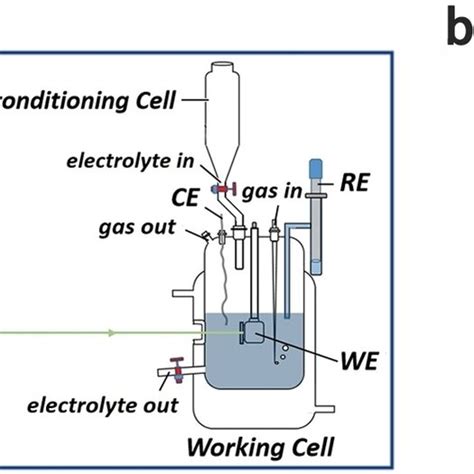 A Schematic Illustration For The Application Of The Laser‐induced Download Scientific Diagram