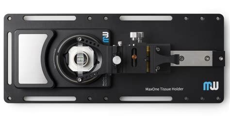 Maxone Single Well Microelectrode Array Maxwell Biosystems