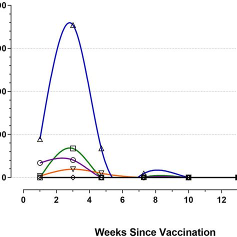 For Illustrative Purposes A Graphical Representation Of The Bcg Burden Download Scientific