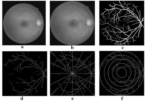 Steps Of Feature Vector Extraction In The Proposed System A Initial