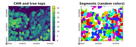 Forest Structure Metrics Extraction • Lidartree
