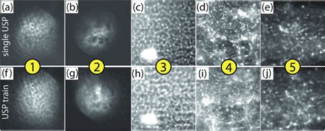 UV Converter Images In Different Positions 1 5 Along The Amplification Download Scientific