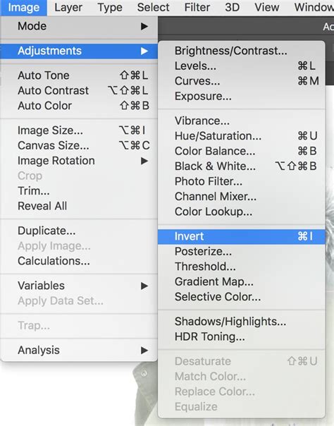 Inverted Image Blending Into Background