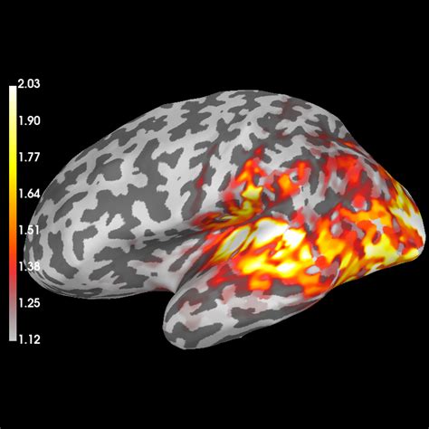 Compute Source Power Estimate By Projecting The Covariance With Mne — Mne 1110dev49