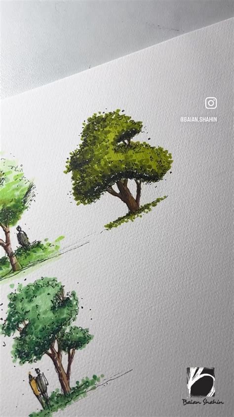 Architectural Trees Marker Rendering Artofit