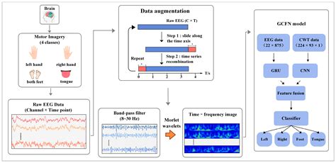Brain Sciences Free Full Text A Parallel Feature Fusion Network Combining Gru And Cnn For