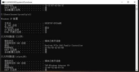 Windows下与网络相关的命令行windows命令窗口输入什么查看网络信息 Csdn博客