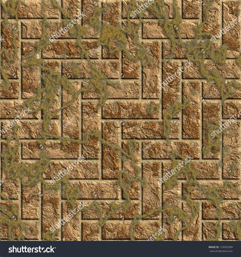 Wall Covered Lichen Seamless Texture Stock Illustration 118365589 Shutterstock