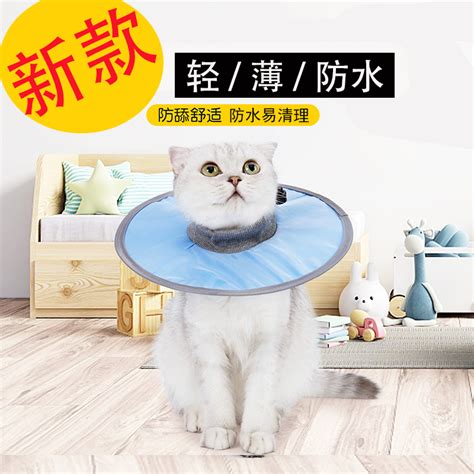 伊丽莎白圈猫咪绝育防舔小狗头套兔子防挠项圈宠物轻薄防水脖圈夏虎窝淘