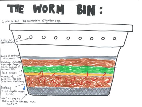 Earthworm Composting Diagram Diagram Earth Worm Stock Illustrations