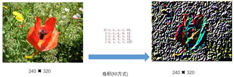 用python实现对图像的卷积滤波 Swuxyj 博客园
