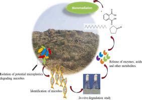 垃圾填埋场微生物群落在聚乙烯和尼龙 微塑料生物降解中的意义 Journal of Hazardous Materials X MOL