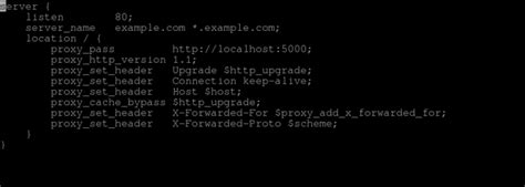 c host asp core on linux with nginx site can t be reached on