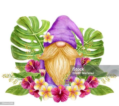 여름 열대 꽃과 몬스테라 야자 잎이 있는 그놈 수채화 그리기 정원 귀여운 요정 클립 아트 알로하 하와이 인사말 0명에 대한 스톡 벡터 아트 및 기타 이미지 Istock