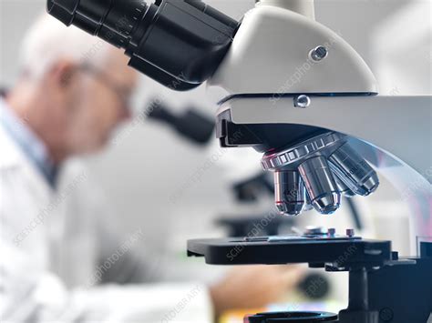 Laboratory Microscope Science At Patricia Henderson Blog