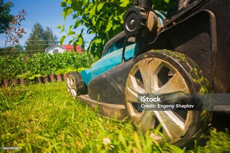 현대 정원이나 뒤뜰의 푸른 잔디에 잔디 발동기 잔디밭을 자르는 기계 원예 관리 도구 및 장비 잔디 다듬기 과정 0명에 대한 스톡 사진 및 기타 이미지 Istock