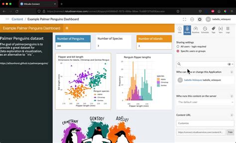 Pilar Cuéllar Taracido On Linkedin Rstudio Connect And Shiny