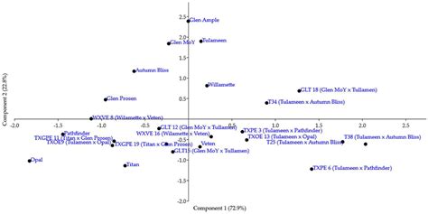 Principal Component Analysis Pca Plot The Multivariate Analysis