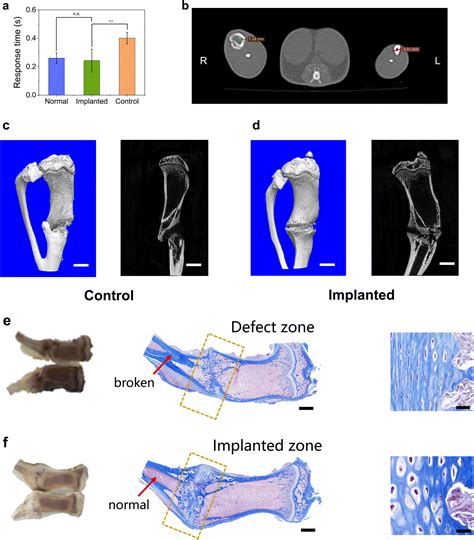 Intensified cross-linking dramatically improved the mechanical ...