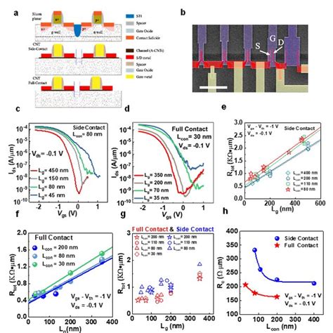 Pdf Aligned Carbon Nanotube Integrated Circuit Downsizing Toward A Sub 10 Nm Node