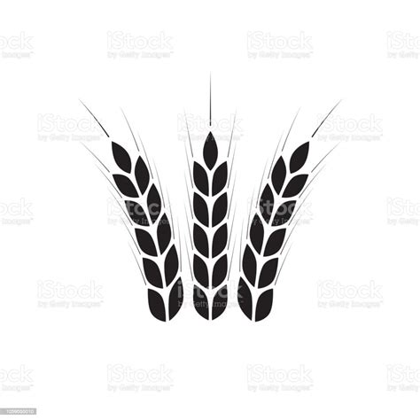 밀 귀 아이콘 또는 기호입니다 자르기 또는 흰색 배경에 고립 된 농업 기호입니다 빵 포장 또는 맥주 라벨에 대 한 요소를 디자인 합니다 벡터 일러스트입니다 가을에 대한 스톡