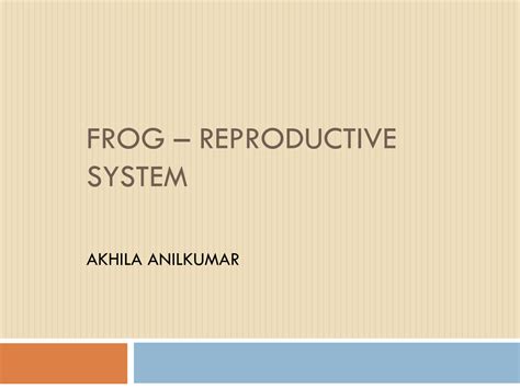 Solution Frog Reproductive System Studypool
