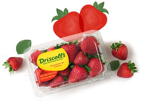 How To Store And Care For Berries Driscolls