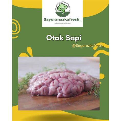 Jual Otak Sapi Shopee Indonesia
