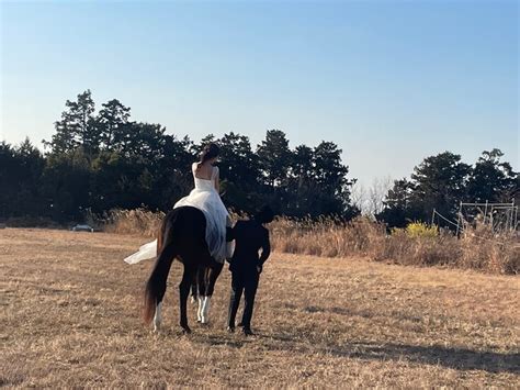 こんなことも出来るのアヴニールファームならではの取組み 余生を過ごす牧場新たなる放牧地をNPO法人アヴニールファーム 2023 07
