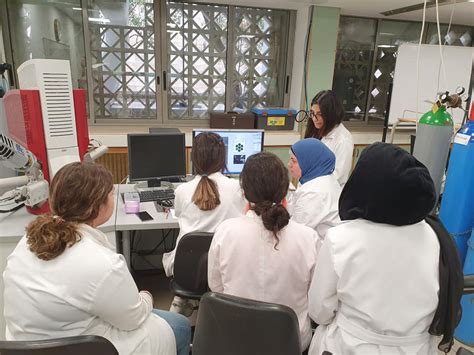 Training Scanning Electron Microscope