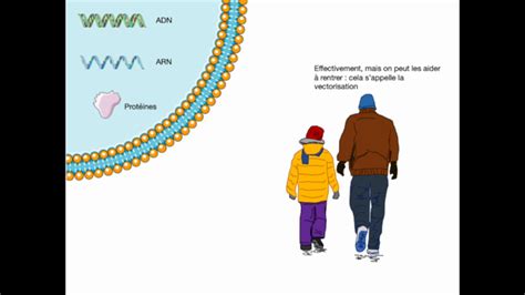 Comprendre La Vectorisation