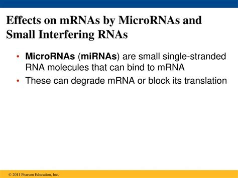 Regulation Of Gene Expression Ppt Download