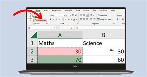 Complete Guide To Use Format Painter In Excel