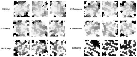 Identification Of Distinct Quantitative Pattern Classes From Emergent