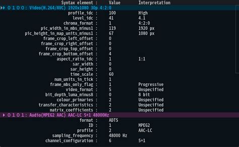 Codec Information Hacobe Cloud User Manual