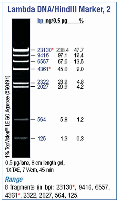 Thermo Scientific™ Lambda Dnahindiii Marker 05μgμl 25 X 50μg Thermo