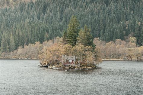 집 밖의 가문비 가을 경치 경치가 좋은 고독 고요한 광야 그림 같은 나무 나뭇잎 녹지 농촌의 떨어지다 목가적인 물 미니멀리스트 반사 삼림