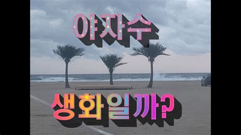 영덕 오봉종택 And 대진해수욕장 차박 캠핑 해물칼국수와 함께하는 감성 캠핑 Car Camping At O봉종택 And Daejin