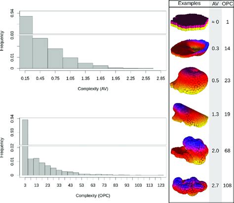 Frequency Decreases With Morphological Complexity The Histograms Show