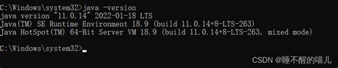 jdk11 0 14 解压版安装 jdk 11 0 14 1 csdn博客