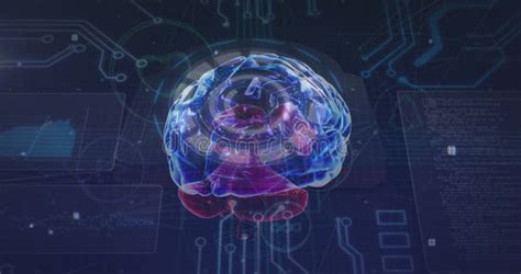 A Digital Rendering Of Human Brain With Vibrant Colors And Intricate