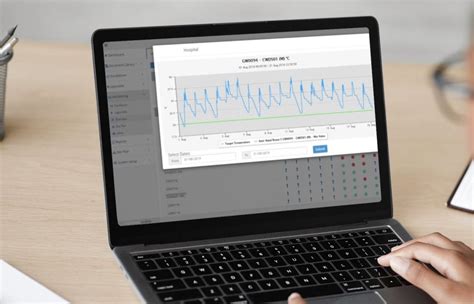 Introducing DSWs Stand Alone Remote Temperature Monitoring System