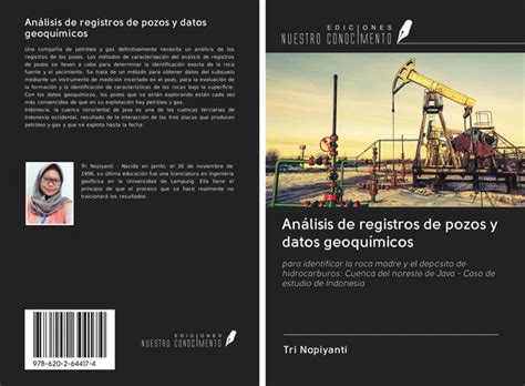 AnÁlisis De Registros De Pozos Y Datos Geoquímicos Tri Nopiyanti