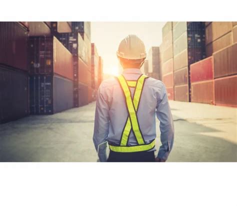 Export Clearance Services In Mumbai By Avenue Logistics Id 2851522144355