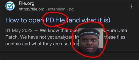 Pd File R Namesoundalikes