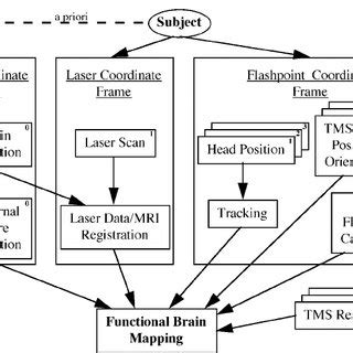Architecture Of The Functional Brain Mapping System Download Scientific Diagram