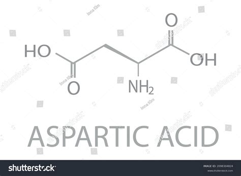 Aspartic Acid Molecular Skeletal Chemical Formula Stock Vector (Royalty ...